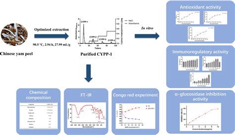 Extraction Optimization Purification And Biological Properties Of Polysaccharide From Chinese