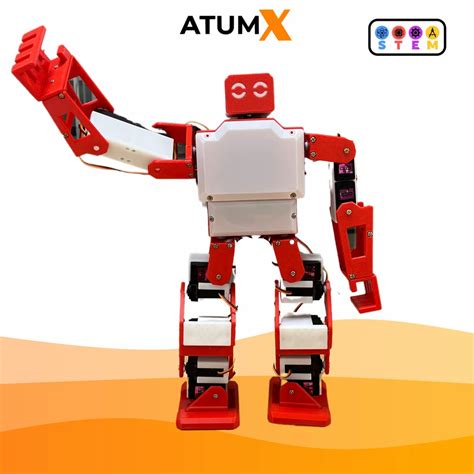 Humanoid Robot Kit At ₹ 18000piece Kodavasal Id 2856252778462