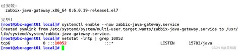 Zabbix 监控 Windows 系统、java应用、snmpjava服务端监控 Csdn博客