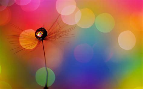 Simple Beautiful Wallpapers Top Free Simple Beautiful Backgrounds Wallpaperaccess