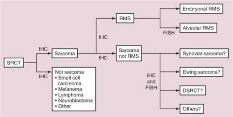 Round Cell Tumors Clinical Tree