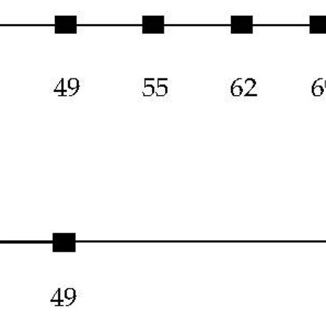 Timeline Where Dots Represent The Dates Of Data Collection In Terms Of Download Scientific