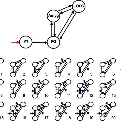 The Models Tested With Bayesian Model Selection A Fully Connected