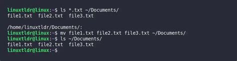 beginners guide for mv command in linux