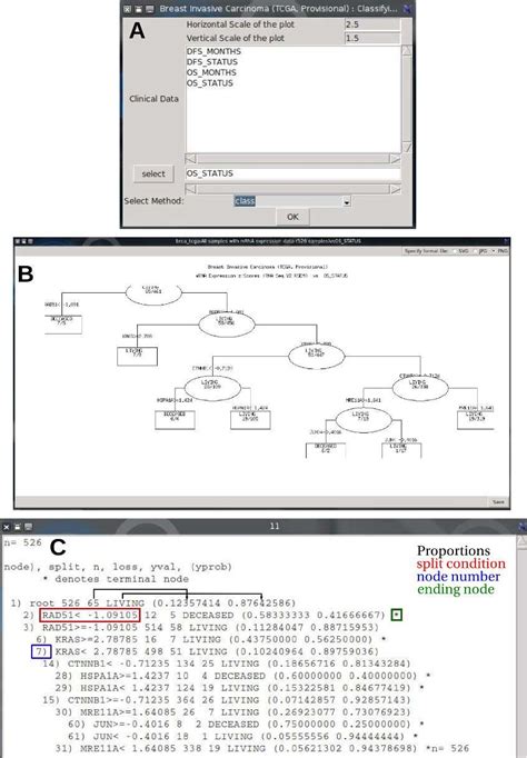 Genesphenotype Classification A Selecting Variable And The Splitting