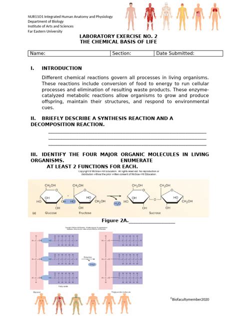 Labexercise2thechemicalbasisoflife Pdf Atoms Chemical Bond