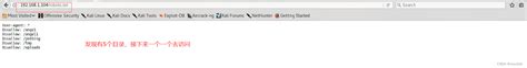 Ctf 18web安全命令注入ctfweb可控的echo Csdn博客