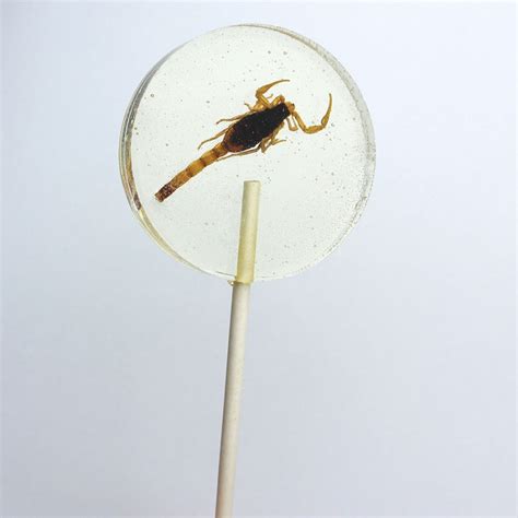 Real Scorpion Lollipop Candy Suckers