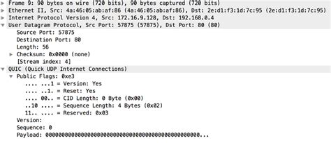 A Figure Showing The Contents Of A QUIC UDP Packet Download Scientific Diagram