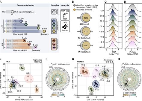 Uncovering The Temporal Dynamics And Regulatory