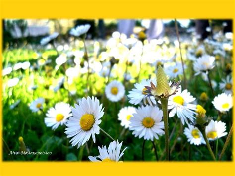 ΤΟ ΠΕΡΙΒΑΛΛΟΝ ΜΕΣΑ ΑΠΟ ΤΑ ΜΑΤΙΑ ΜΑΣ Ppt