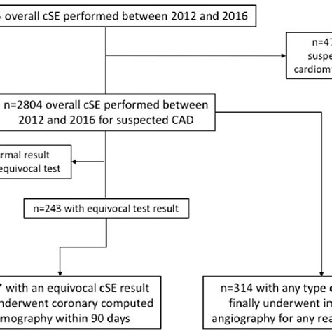 Stress Echo Protocols Download Table