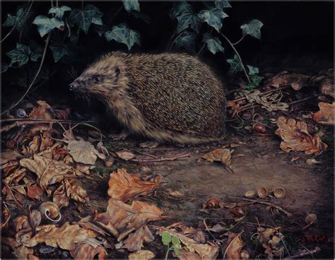 Ian Coleman Art Conch Shell And Atlantic Spotted Dolphins Oil On Board 14x16in Erits One