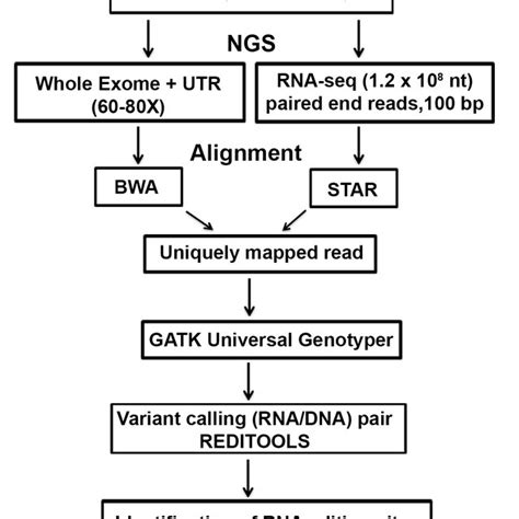 Figure S1 Bioinformatics Analysis Pipeline That Was Used For