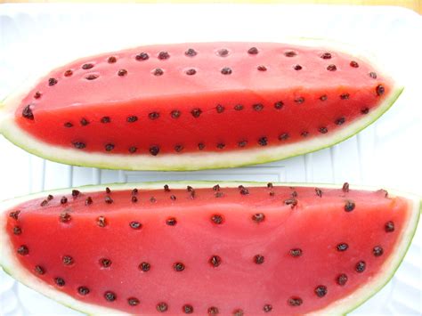 Gelatinas Artisticas