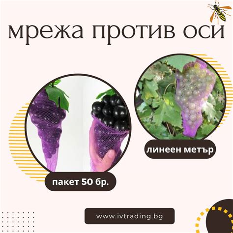 Вие Защитете гроздето си сега за да му се наслаждавате по късно Всички знаем че колкото по