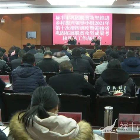 禄丰：迅速行动，全力做好省对市巩固脱贫攻坚成果考核评估迎检工作问题乡镇政策落实