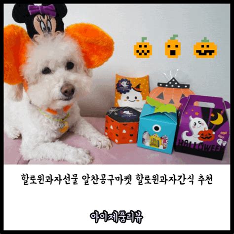 할로윈과자선물 알찬공구마켓 할로윈과자간식 어린이집간식 추천 네이버 블로그