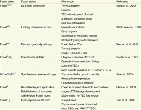 Mouse Models With Different Foxn1 Allele Download Table