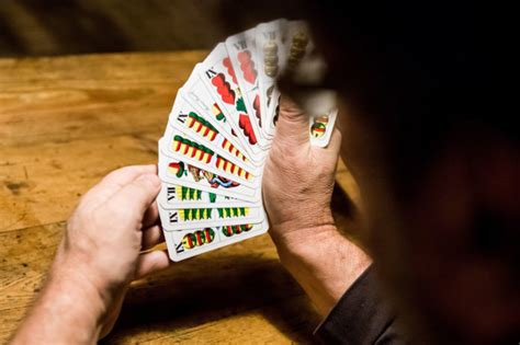 Csapd Le Csacsi Magyarország Vira