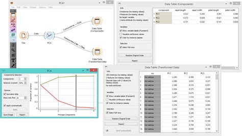 Orange Data Mining Undefined