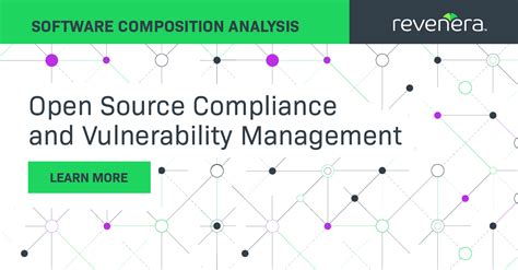 Business Solutions To Protect Your Software Revenera