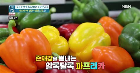 색깔별 파프리카 영양소 차이까지 챙겨먹자