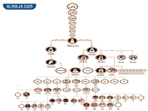 شجرة عائلة ال نهيان بالصور جاوبني
