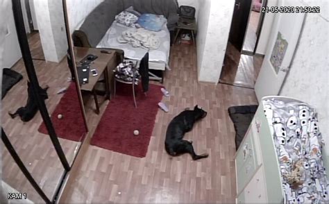 Hacking Home Cameras Page 21 Sex Forum All New Porn For Free
