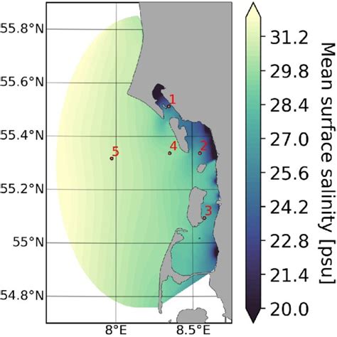 A Model Grid For The Wadden Sea Setup Of Flexsem The Polygons Of The Download Scientific