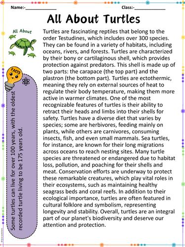Turtle Exploration Engaging Reading Passage With Questions Teaching