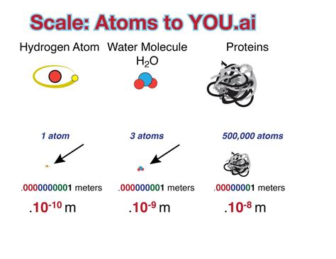 NettlesScience Scale Atoms To You