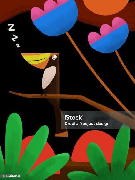 화려한 스타일로 그려진 나뭇가지에 잠자는 새 포스터에 적합한 검은 색 배경이있는 재미있는 만화 일러스트 레이션 큰부리새에 대한 스톡 벡터 아트 및 기타 이미지 Istock