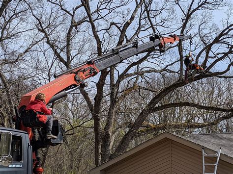 Hazardous Tree Removal Alton IL Tree Removal Services