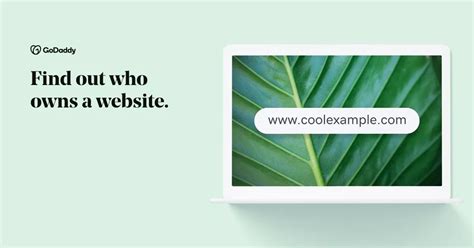 Whois Domain Lookup Find Out Who Owns A Website Godaddy