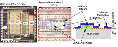 Micrograph Of The Electrode Array Chip Close Up And Transducer Download Scientific Diagram