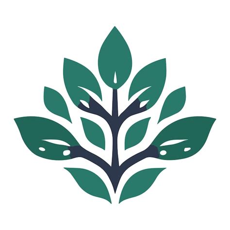 Premium Vector Beautiful Tree Leaf Vector Icon On White Background