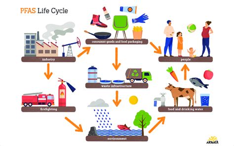 Sources Of Pfas And Pfas Life Cycle Credit Arnika Download Scientific Diagram