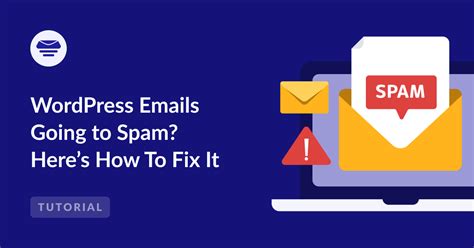 Wordpress Emails Going To Spam Heres How To Fix It