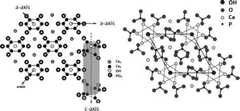 Crystal Structure Of Hydroxyapatite Powder 44 Download Scientific Diagram