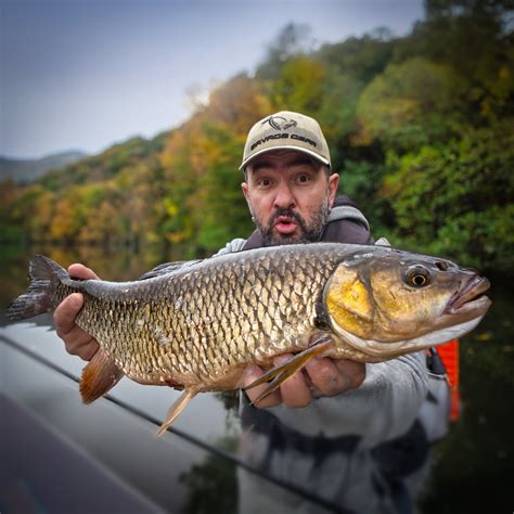 Община Своге официален профил Становище на Община Своге във връзка с организирания неделен