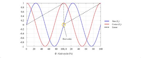 Ground Truth Labeling Sine Blue And Cosine Red Functions Are