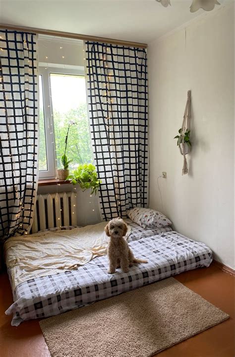 Песик в светлой комнате Stile