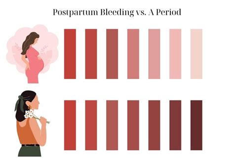 Whats Going On If Postpartum Bleeding Stopped Then Started Again