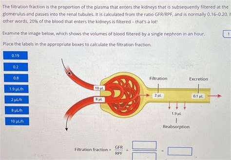 Solved The Filtration Fraction Is The Proportion Of The