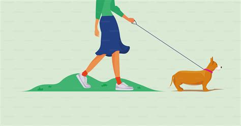 공원에서 개와 함께 걷는 소녀 만화 스타일 벡터 일러스트 깨끗한 배경에 고립 벡터 Unsplash의 개 이미지