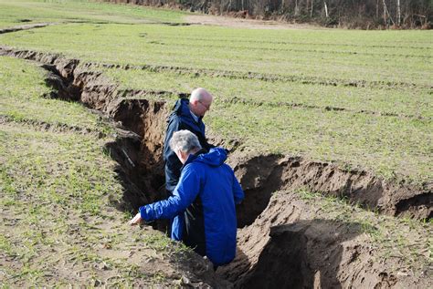 Looking For Something Photo John Boardman