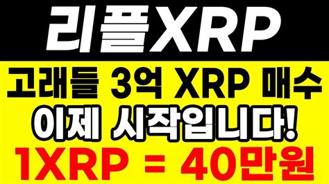 리플 전망 고래들 Xrp 3억개 매수 업비트시황 코인시황 급등코인추천 리플대응 Youtube
