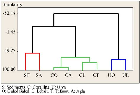 Dendrogram Euclidian Distances Obtained From The Matrix Of