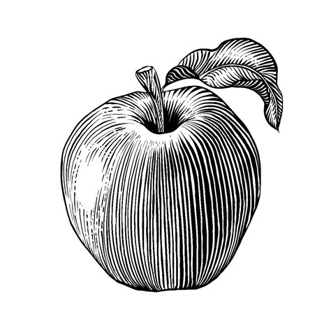 손그림 아름다운 펜화 그려 드립니다 Ai파일 Png 85000원부터 시작 가능한 총 평점 5점의 디자인 일러스트 상업용 일러스트 서비스 프리랜서마켓 No 1 크몽